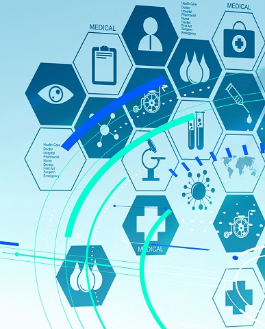 National Digital Infrastructures for Healthcare: A Comparative Case of ...